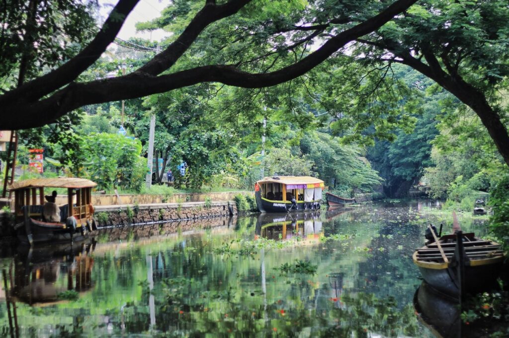 The Kuttanad Village in Alappuzha, Kerala